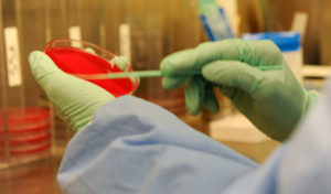 Urine Culture - Determine Cause of Urinary Tract Infection